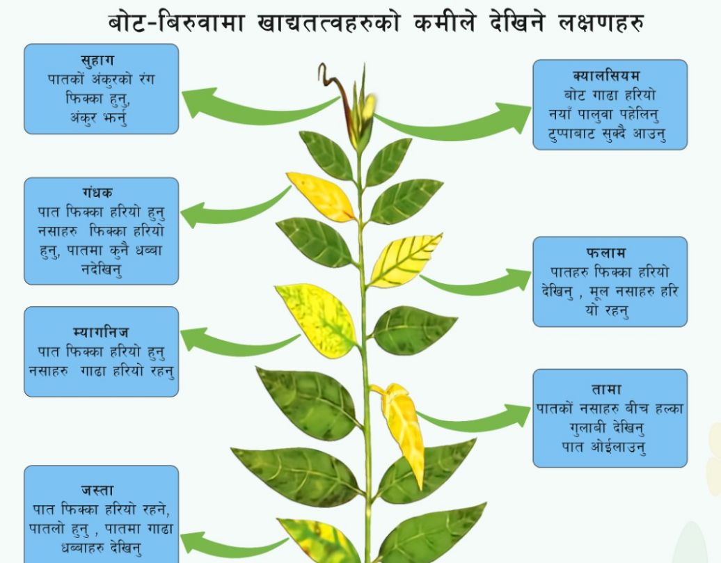 Blog - Agricultural Technology Center (ATC) | Blog Resources